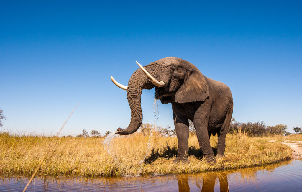 How is the transaction model implemented in PostgreSQL? - MVCC How is the transaction model implemented in PostgreSQL? - MVCC
