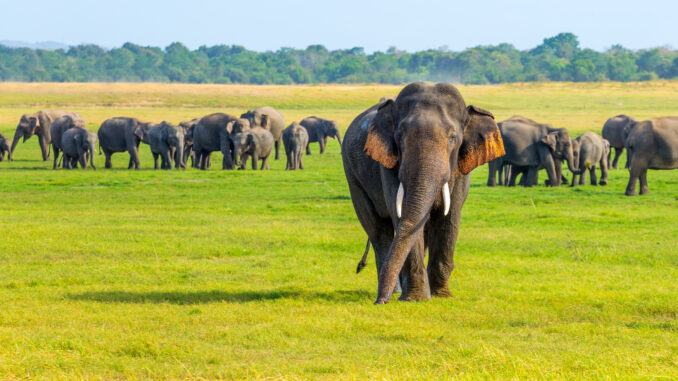 Postgresql Vacuum Internals Postgresql Dba Postgresql