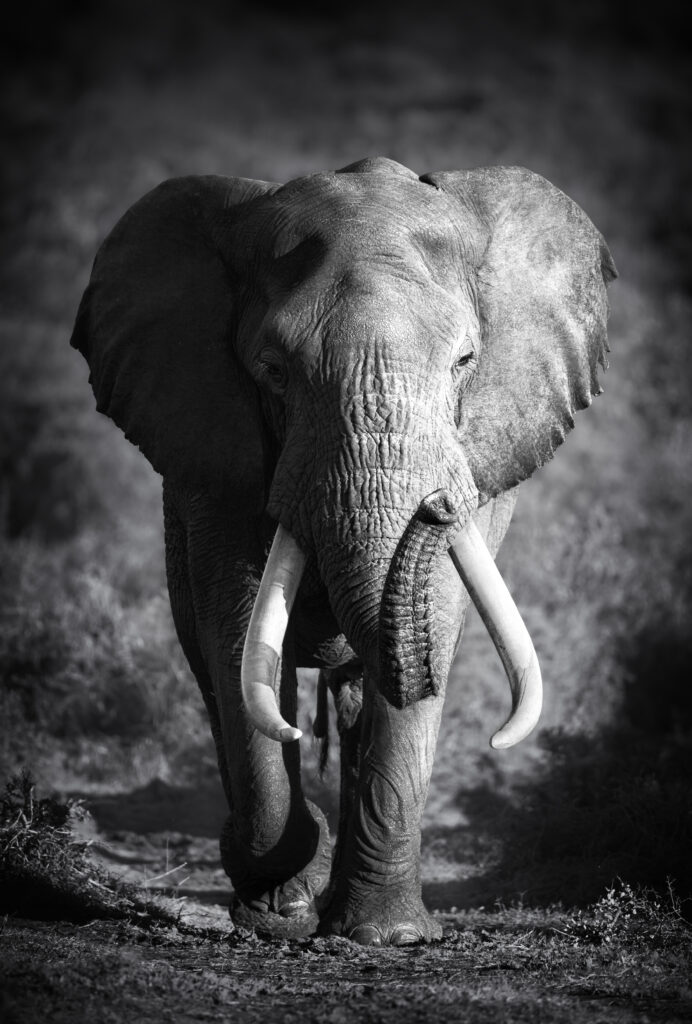 Postgresql Locking With For Update Mode Queries Dba 3843
