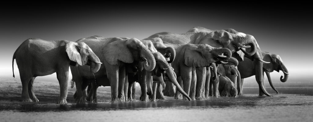 Postgresql Remote Dba Postgresql Dba Support Postgresql 