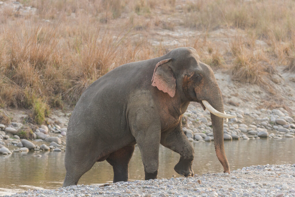 Understanding Checkpointing Implementation In Mysql And Postgresql For 2159