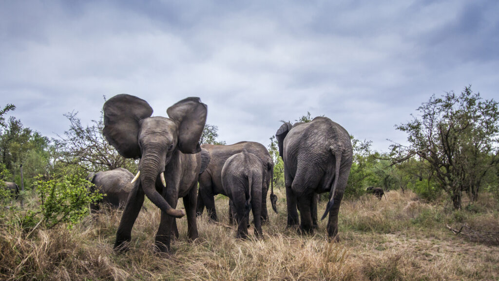 How The Insert Lock Is Implemented In Postgresql 16 For Concurrency Control
