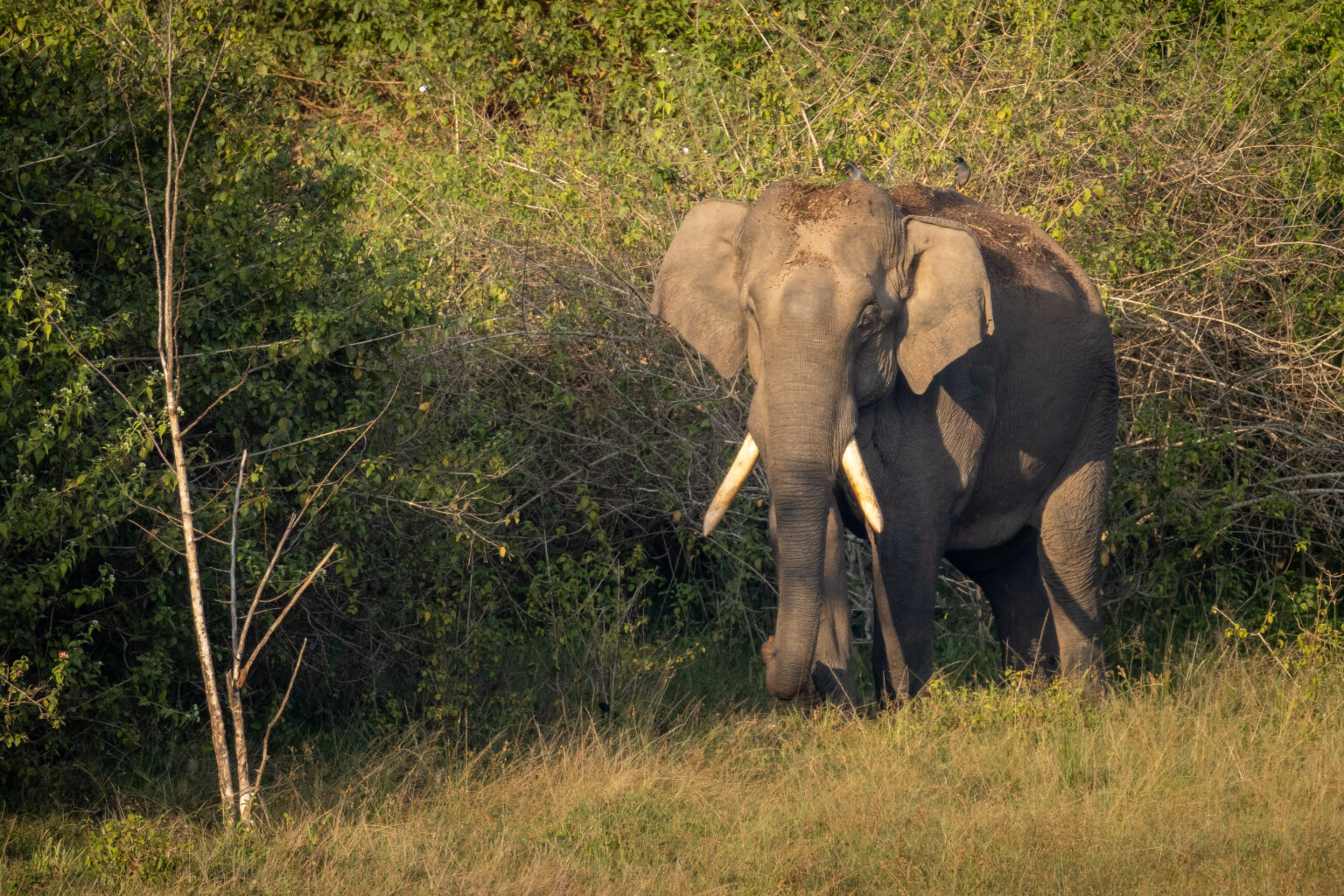 How To Implement Parallel Queries In Postgresql 15 For Improved Performance 3888