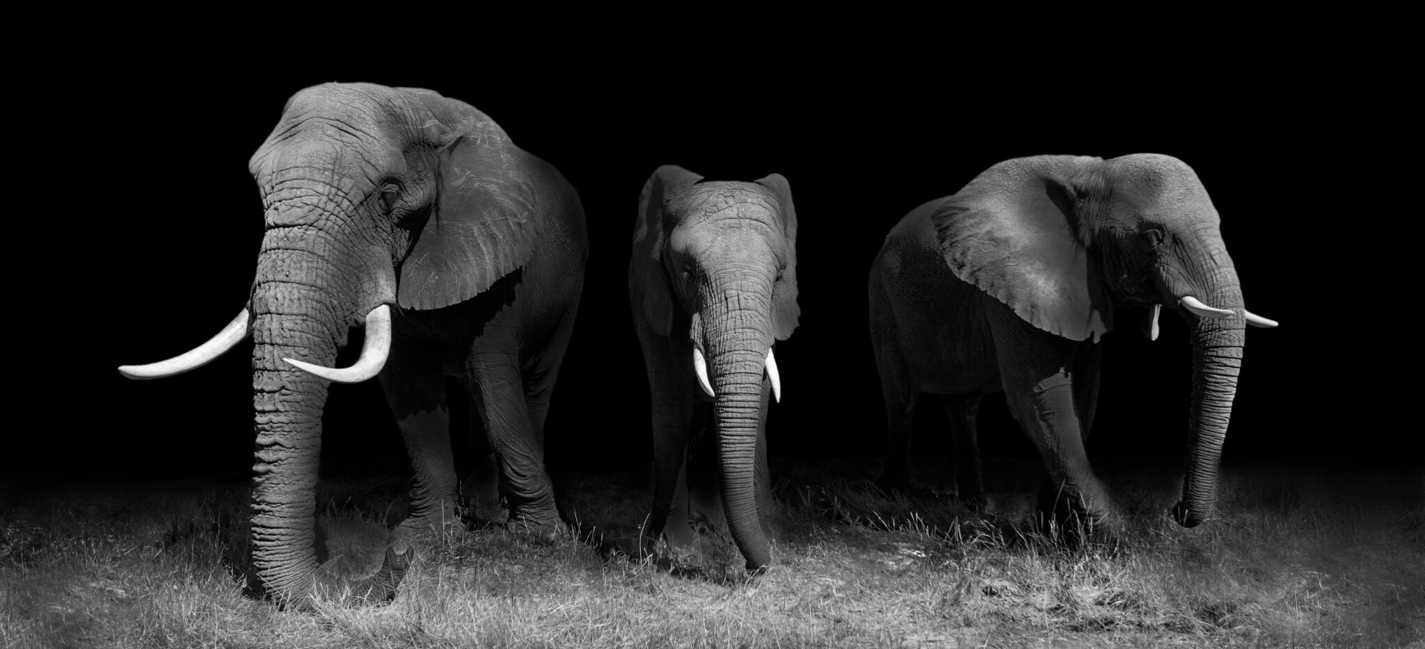 When Does Hard Parsing Optimization Take More Time In Postgresql Causes And Solutions 
