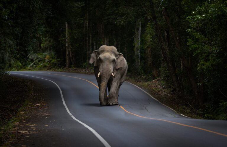 Enhancing Query Performance With Parallel Hash Joins In Postgresql 