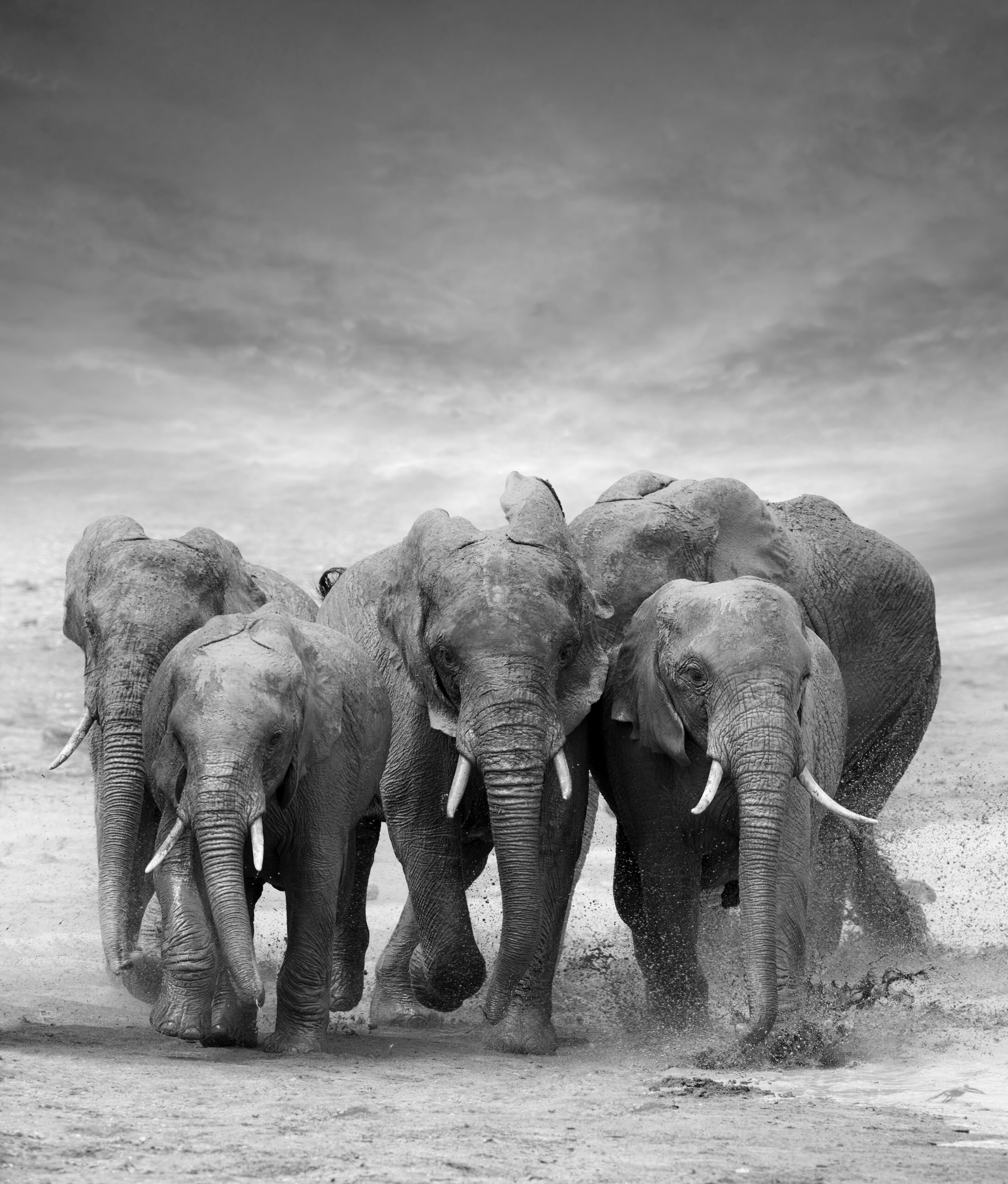 Tools For Postgresql Performance For Effective Troubleshooting