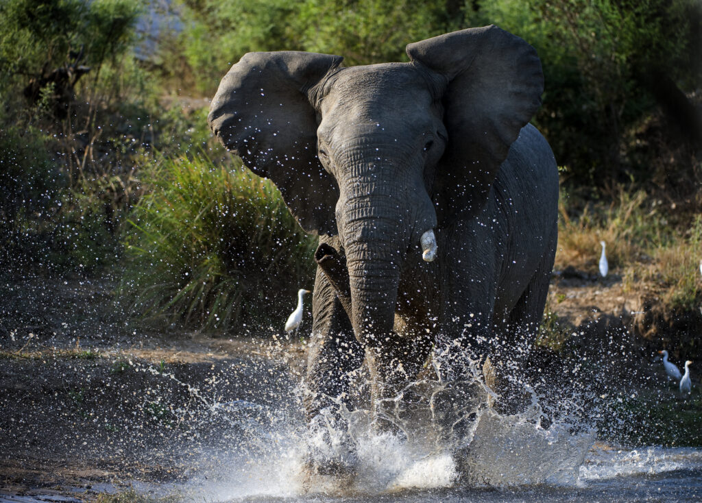 How PostgreSQL Optimizer behaves when Cardinality is Zero? How PostgreSQL Optimizer behaves when Cardinality is Zero?
