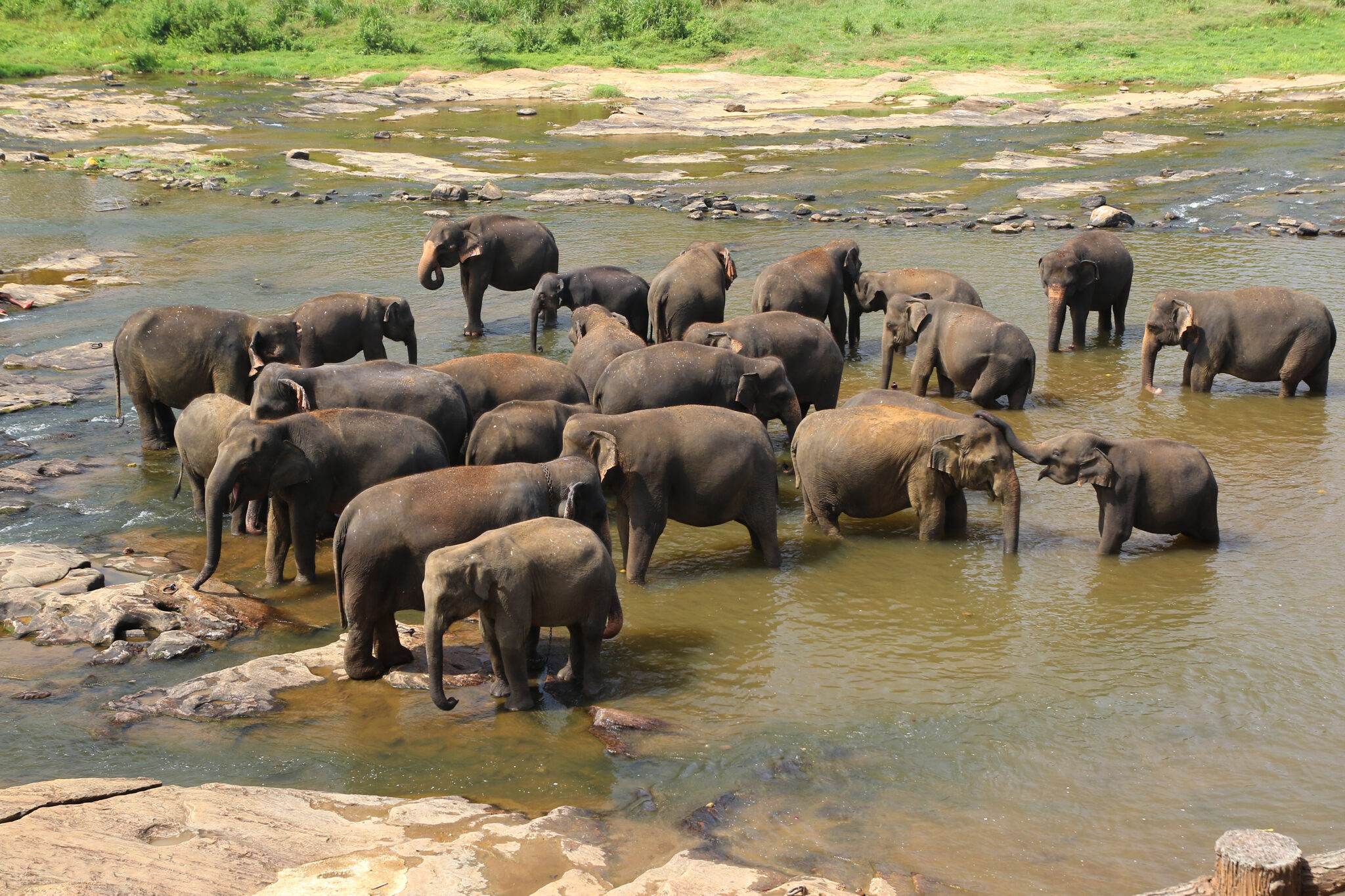 How To Configure Postgresql For Statistics Collection To Optimize Query Performance