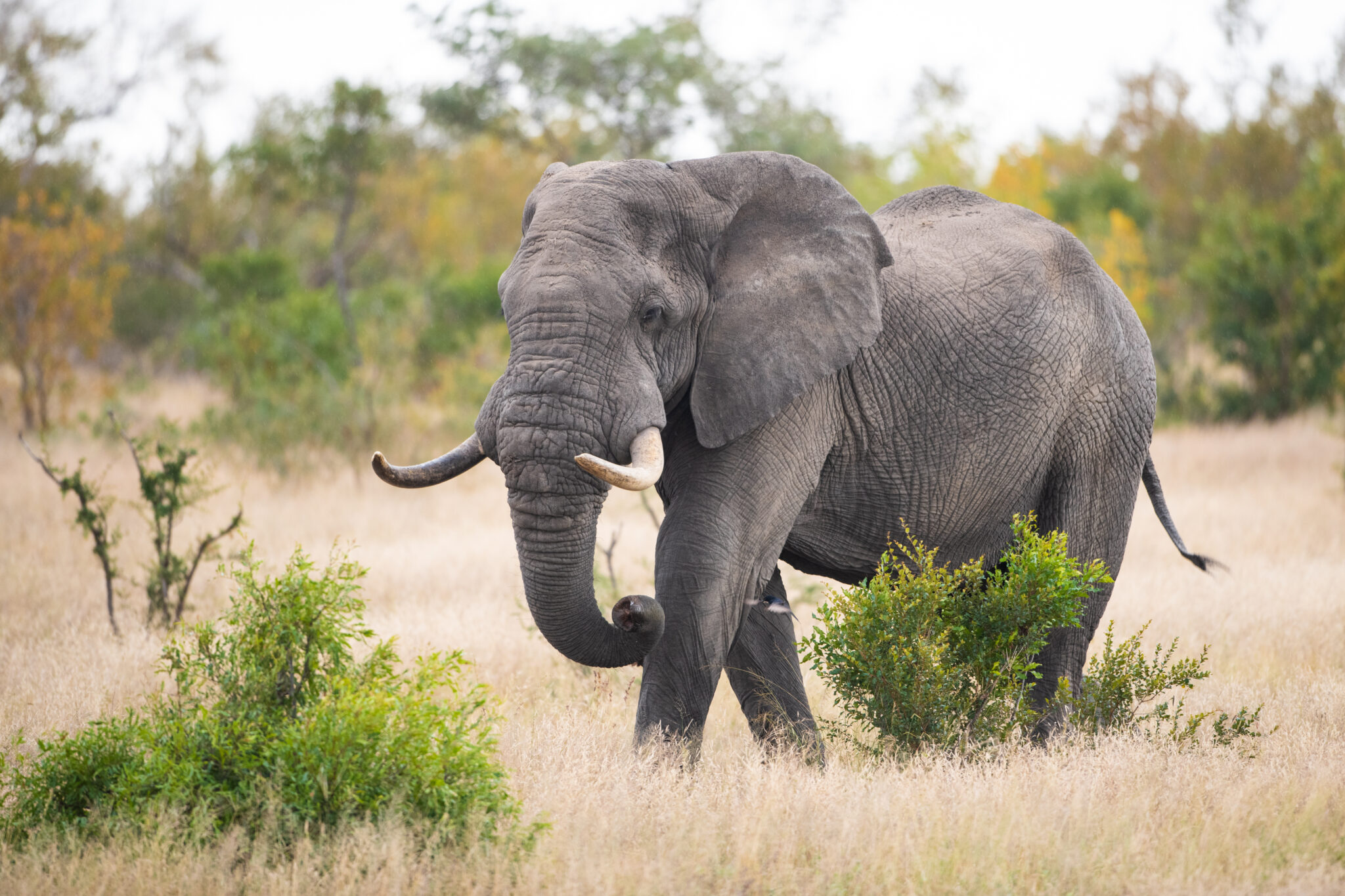 How to avoid "OR" in PostgreSQL for better performance? - DBA