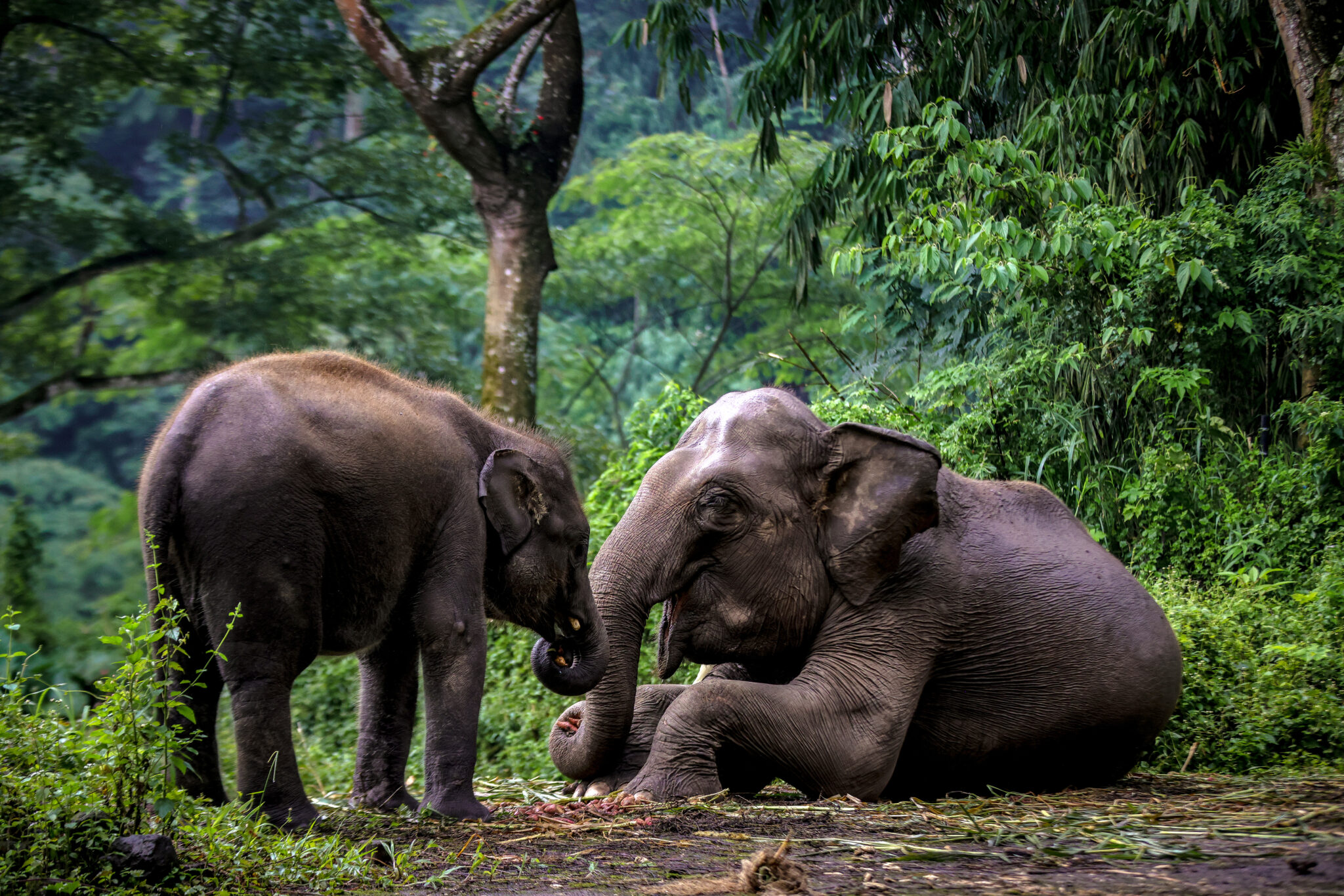 How Wait Events Impact PostgreSQL Performance and Strategies for Optimization