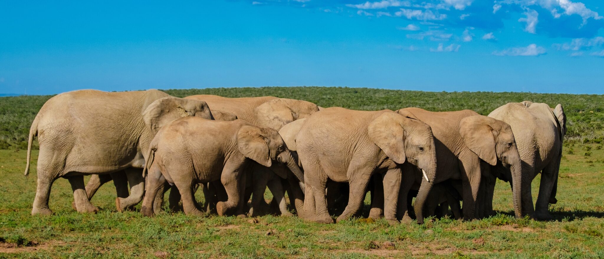 Monitoring VACUUM and ANALYZE Performance with pg_stat_statements in ...