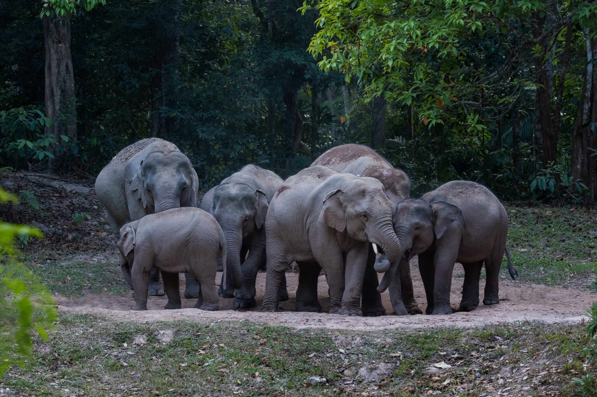 How To Troubleshoot Index Fragmentation In Postgresql 9541