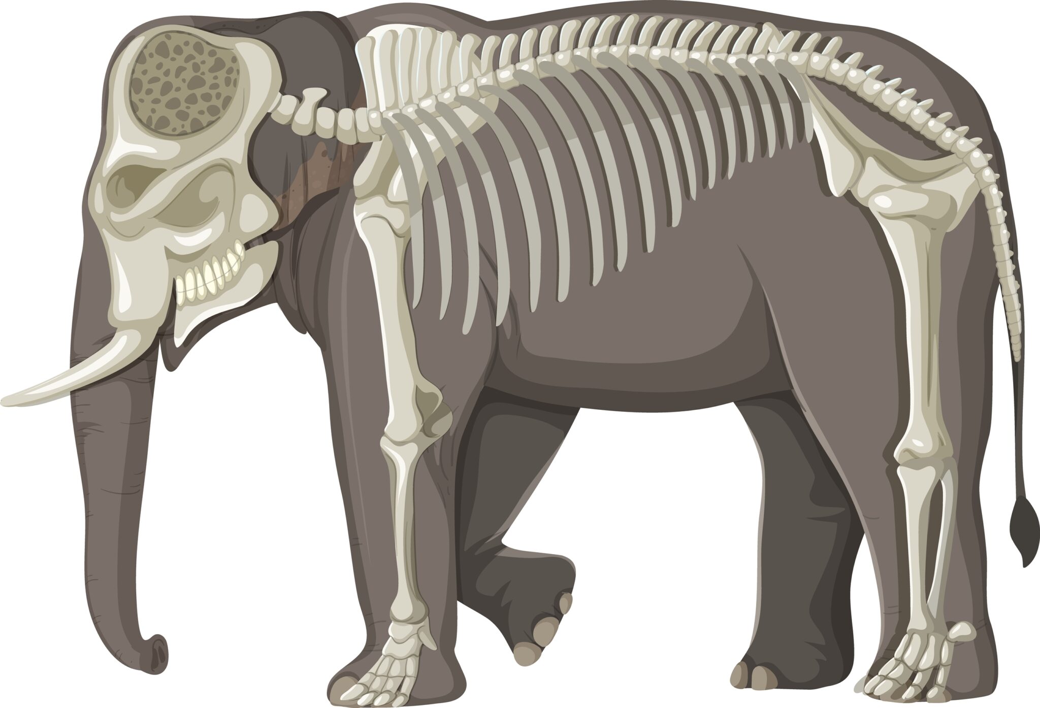 Anatomy Of Postgresql Io Subsystem Postgresql Dba Support 6724
