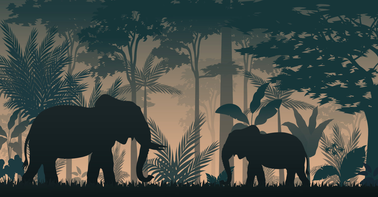 Understanding Shared Buffers Implementation In Postgresql How Memory Is Managed For Optimal