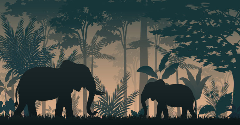 Understanding Shared Buffers Implementation In Postgresql How Memory