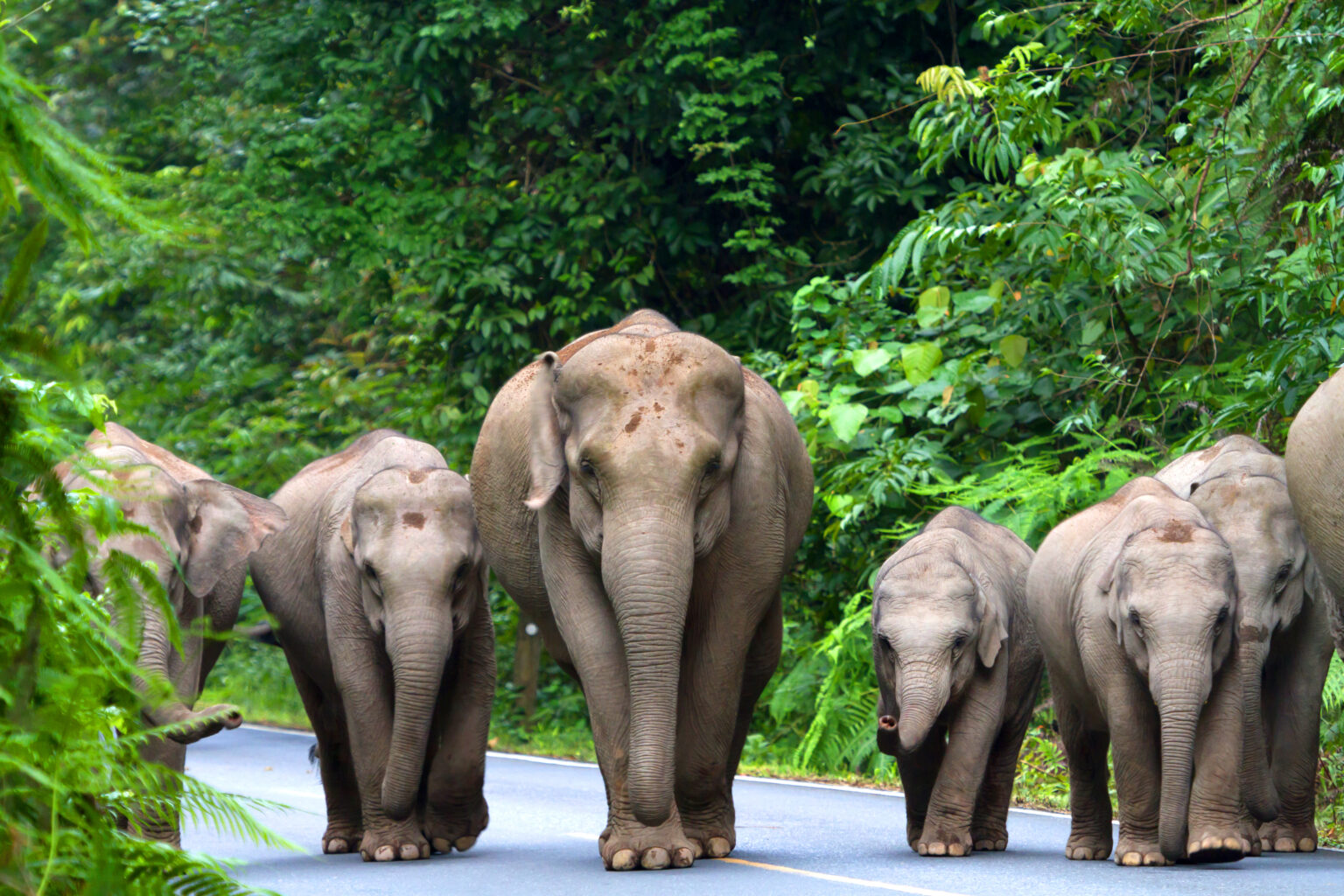Understanding Clustered And Non Clustered Indexes In Postgresql Key Differences And Use Cases