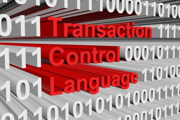 Understanding How Redo and Undo Operations are Managed in PostgreSQL