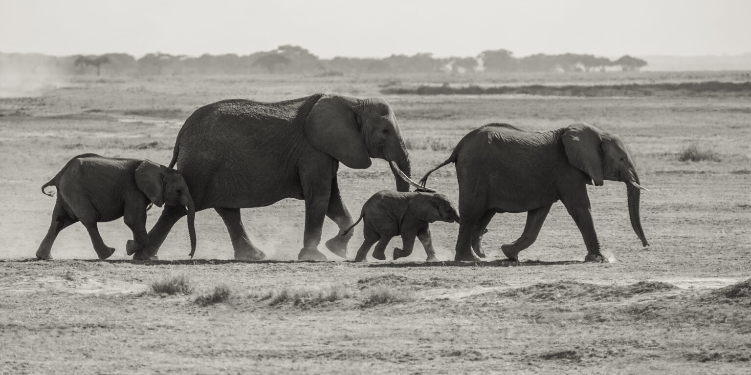 How to have PostgreSQL execution plan with run-time? - DBA