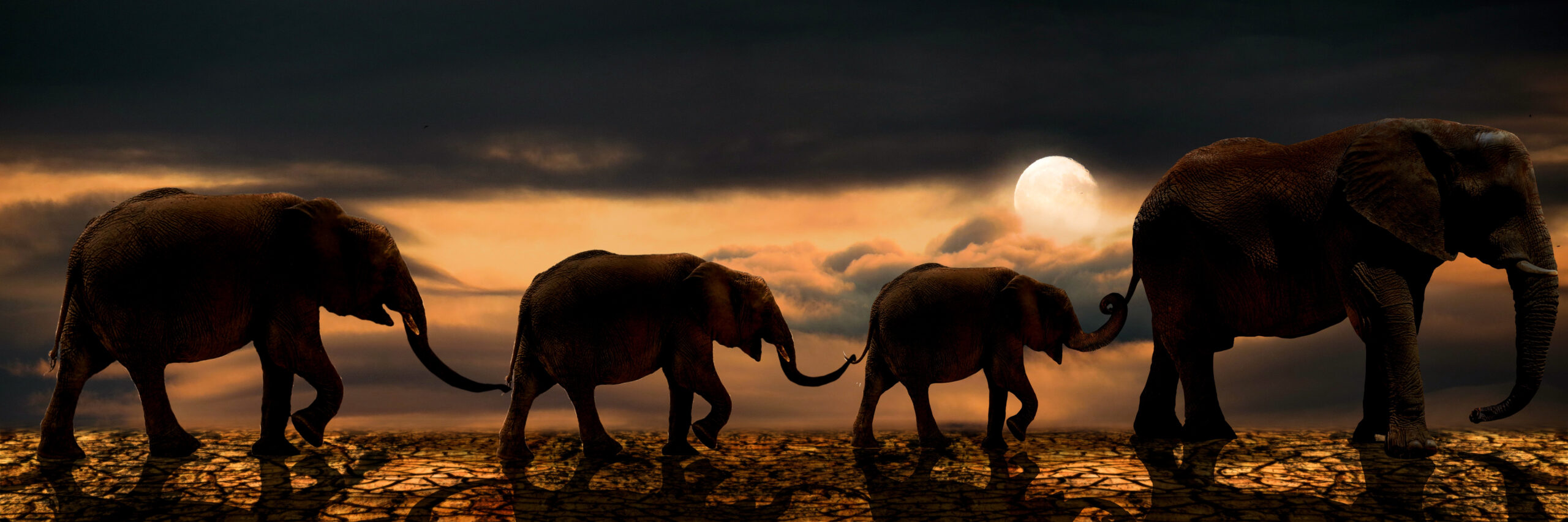 Logging Slow Queries in PostgreSQL Server with a PL/pgSQL Application Logging Slow Queries in PostgreSQL Server with a PL/pgSQL Application