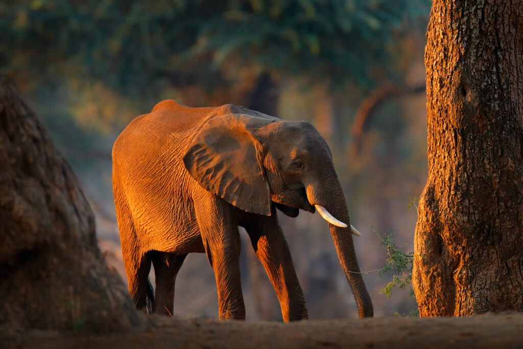 How To Determine If A String Is Alphanumeric In PostgreSQL 