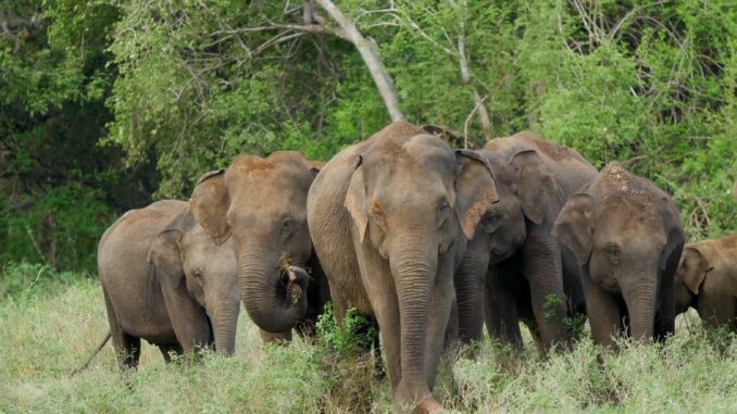 Know Your Isolation Levels For Developing Optimal And Scalable Postgresql Applications