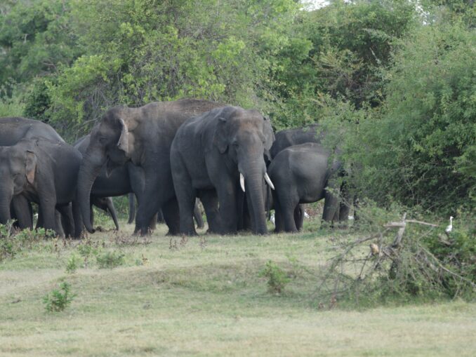 Unnest Function In Postgresql Transform Arrays Into Rows 