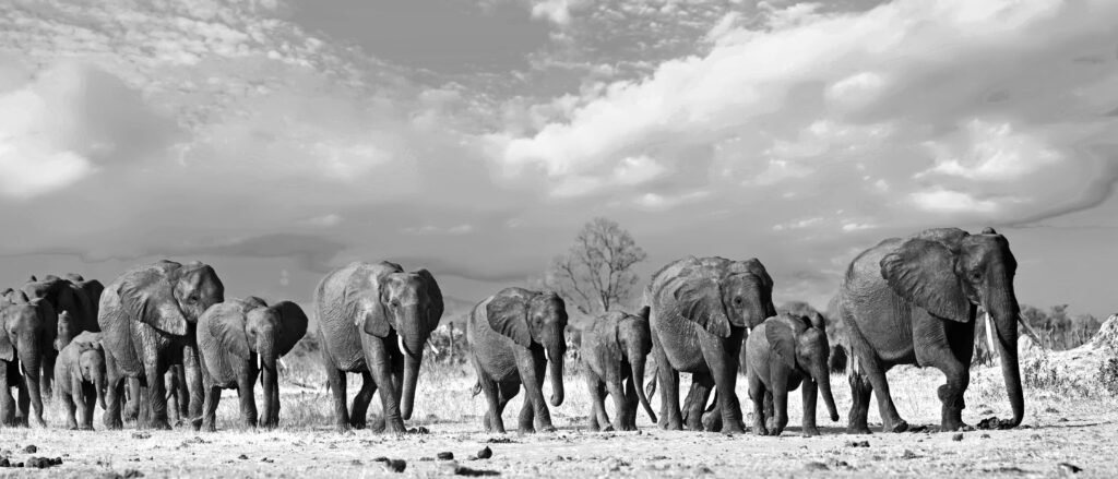 MinervaDB PostgreSQL Performance Audit: Pre-Engagement Questionnaire Guide MinervaDB PostgreSQL Performance Audit: Pre-Engagement Questionnaire Guide