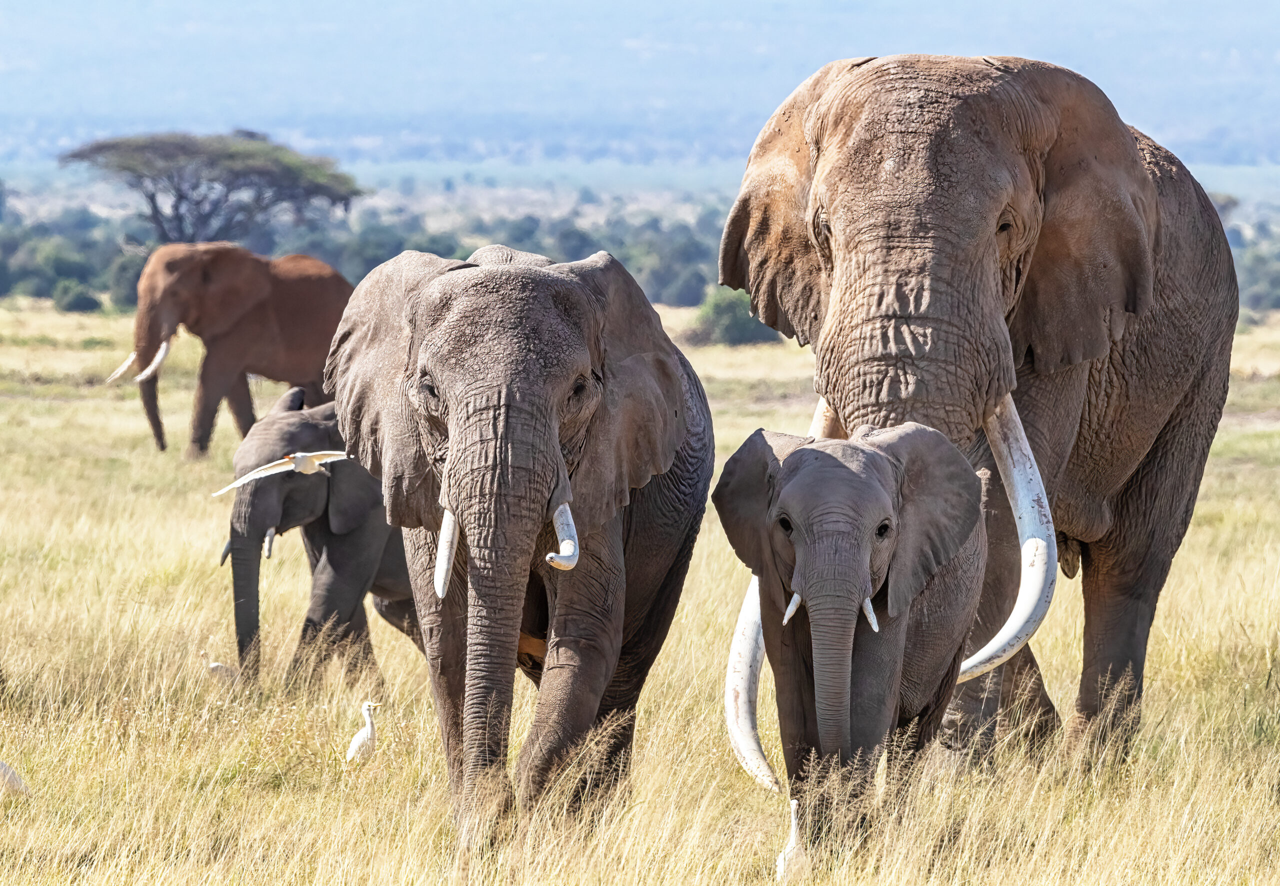 Optimizing PostgreSQL Capacity Planning and Sizing - DBA Optimizing PostgreSQL Capacity Planning and Sizing - DBA
