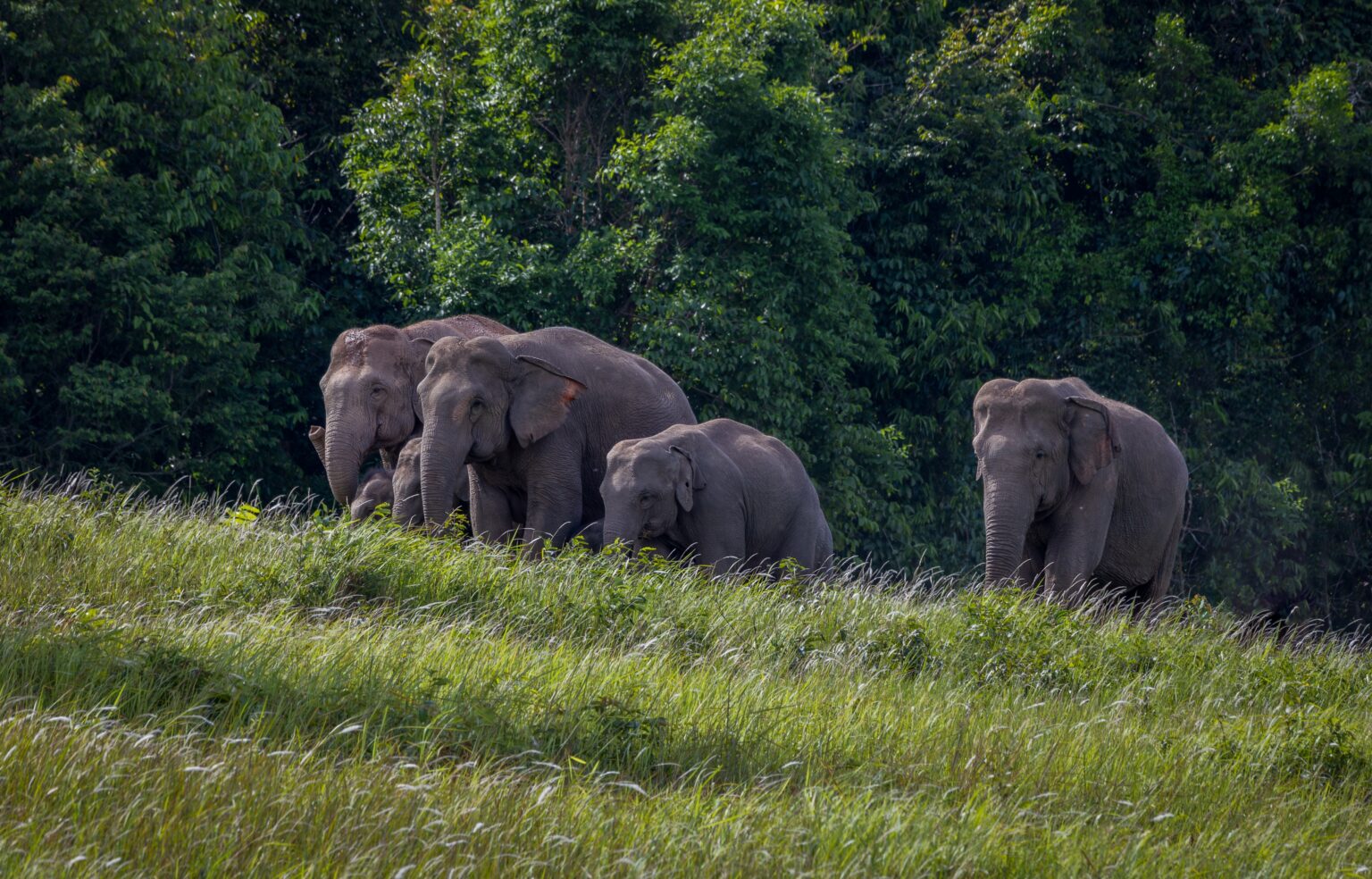 Optimizing PostgreSQL: Configuring for Efficient UNDO and REDO Operations Optimizing PostgreSQL: Configuring for Efficient UNDO and REDO Operations