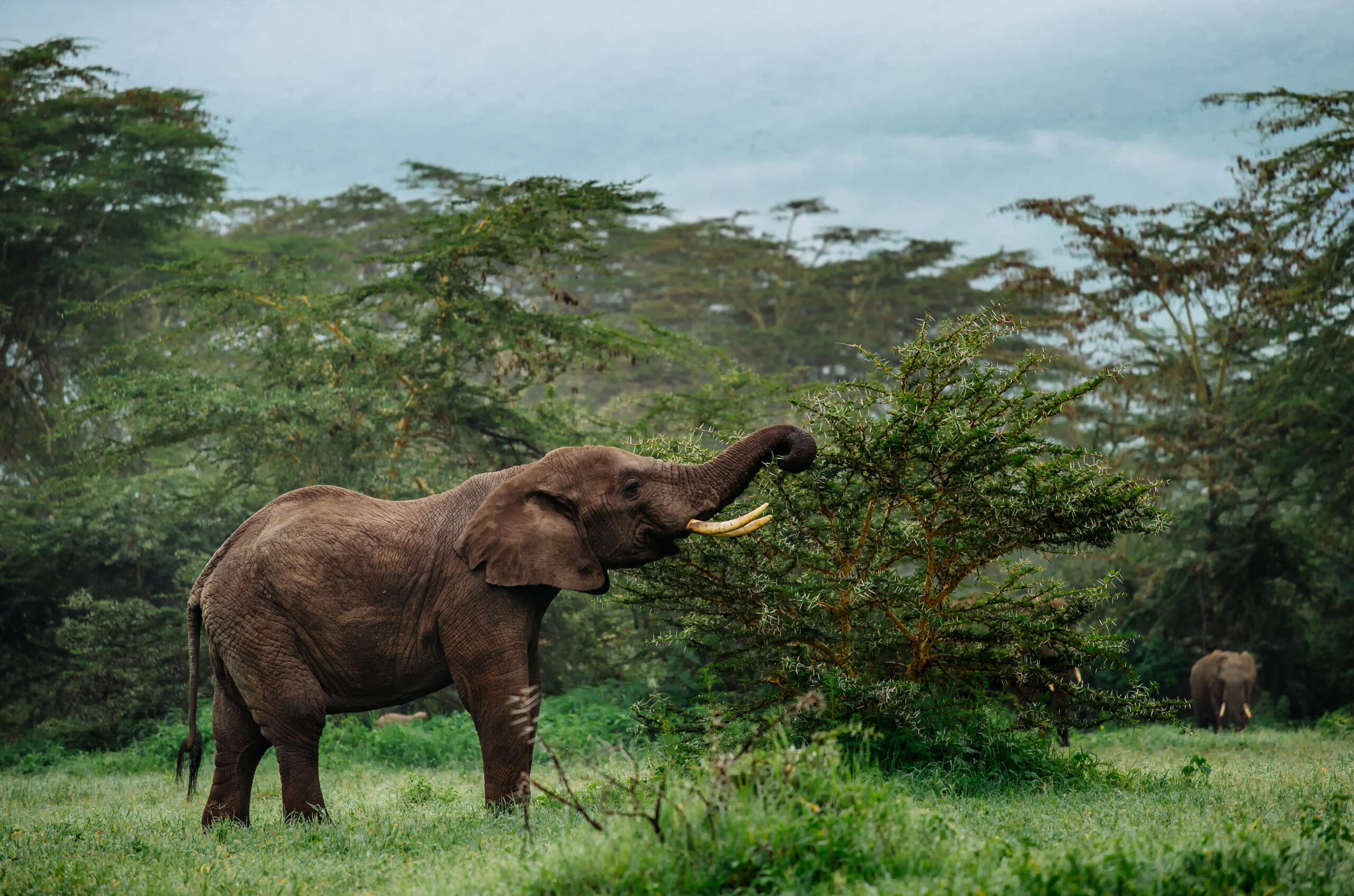 Postgresql Cost Based Optimizer For Better Query Performance