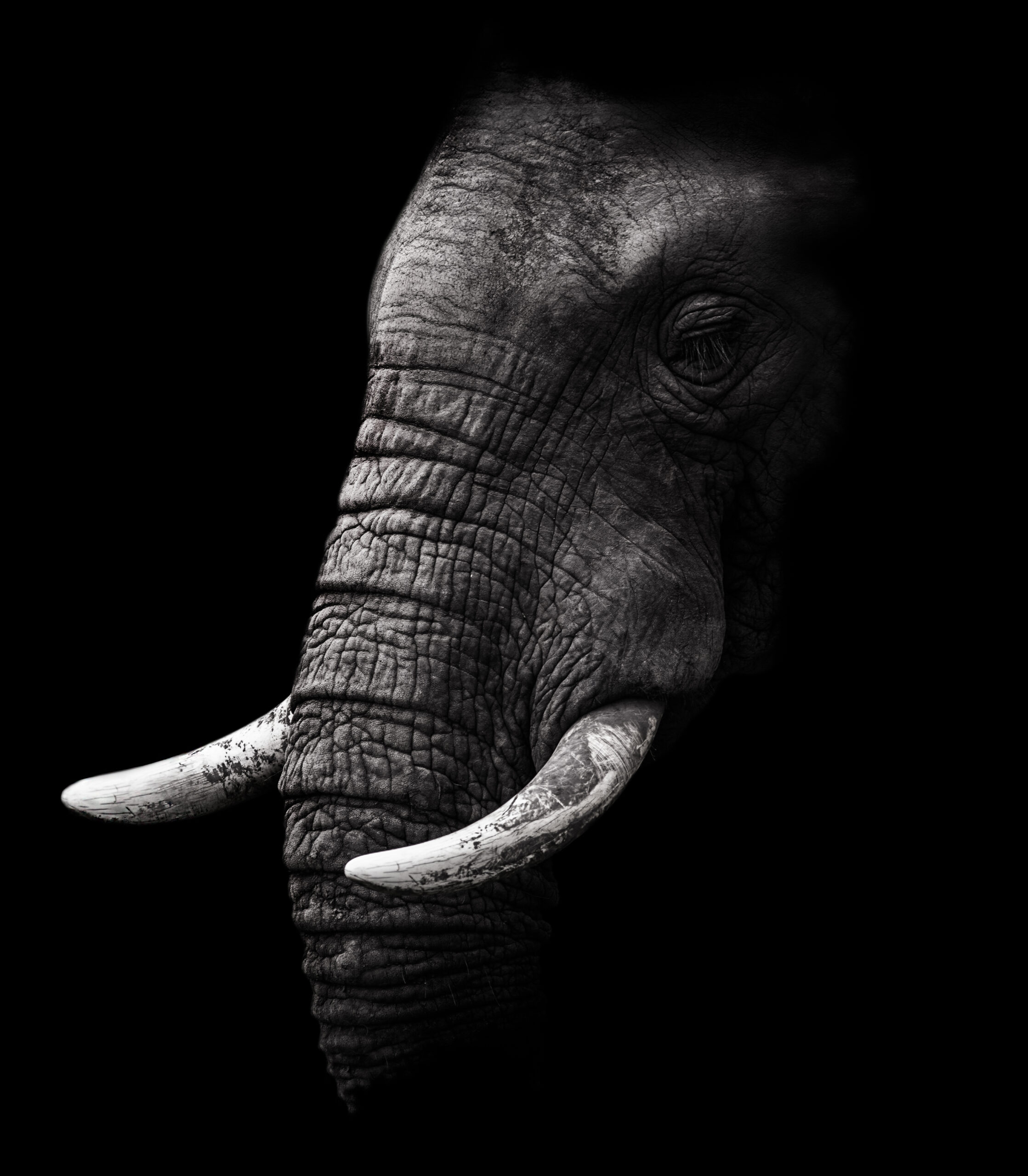Sql Aggregation Functions And Their Use Cases In Postgresql