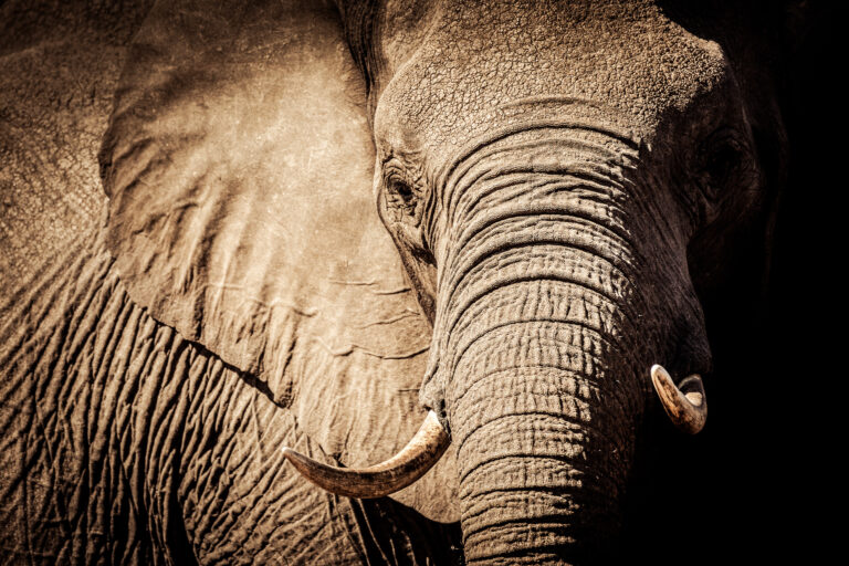 How to implement automatic partitioning in PostgreSQL 15? - DBA How to implement automatic partitioning in PostgreSQL 15? - DBA