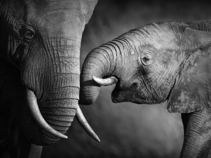 PostgreSQL 16 LDAP Integration: Best Practices