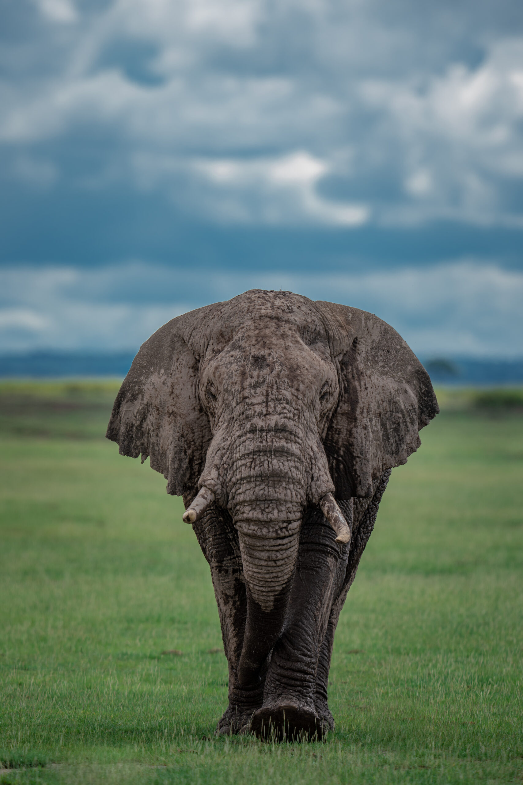 PostgreSQL Performance: Tuning Seek/Scan Costs and Statistics PostgreSQL Performance: Tuning Seek/Scan Costs and Statistics