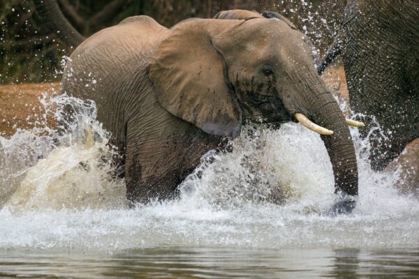 Troubleshooting Postgresql Join Performance A Guide For Query Optimization