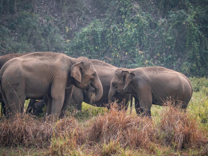 PostgreSQL 16 LDAP Integration: Best Practices PostgreSQL 16 LDAP Integration: Best Practices