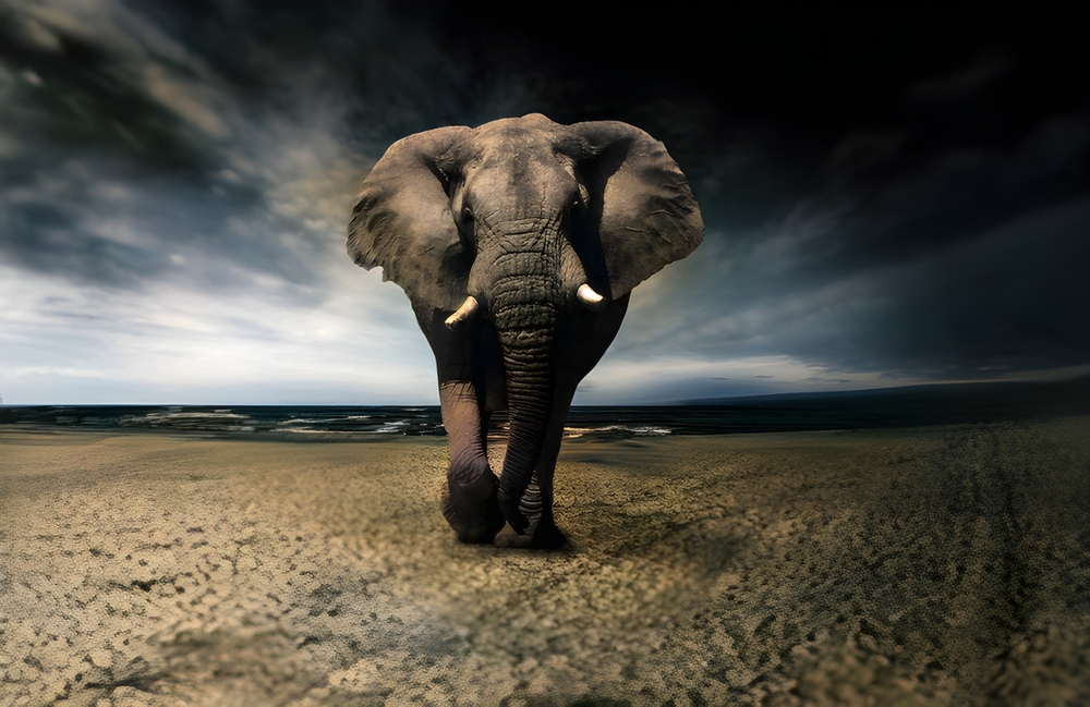 Optimizing PostgreSQL Performance: Mastering Checkpointing Optimizing PostgreSQL Performance: Mastering Checkpointing