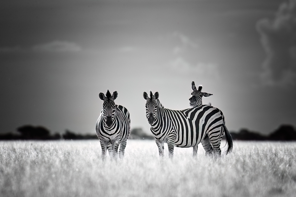 Understanding MySQL's Thread-Based Architecture: Internal Workings ...