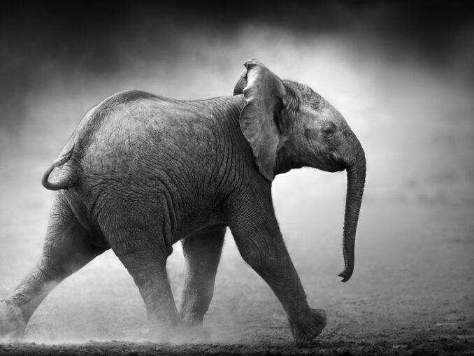 MySQL IO Subsystem Performance: Bottleneck Analysis MySQL IO Subsystem Performance: Bottleneck Analysis