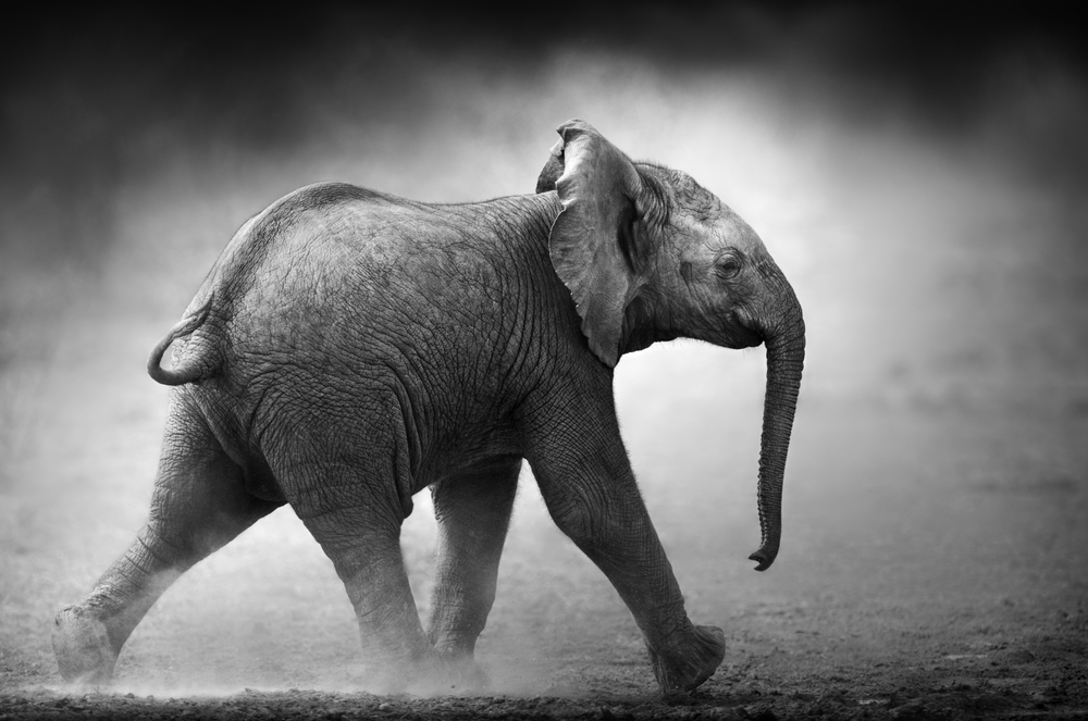 Optimizing PostgreSQL 16 Performance with Bind Variables Optimizing PostgreSQL 16 Performance with Bind Variables