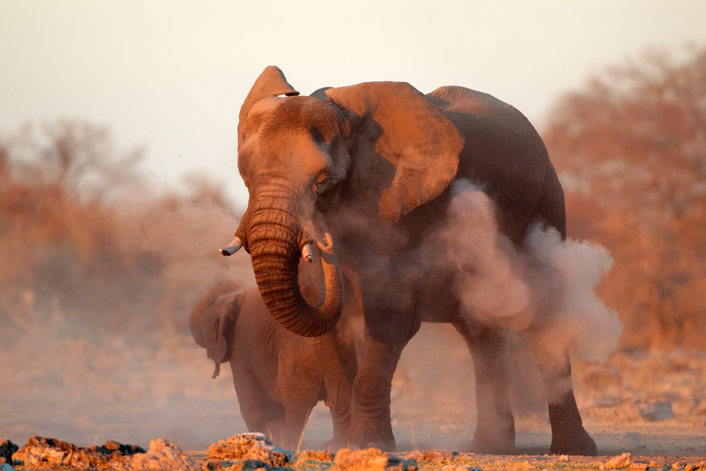 Postgresql Alternatives To Sql Server Query Store Exploring Query Monitoring Tools