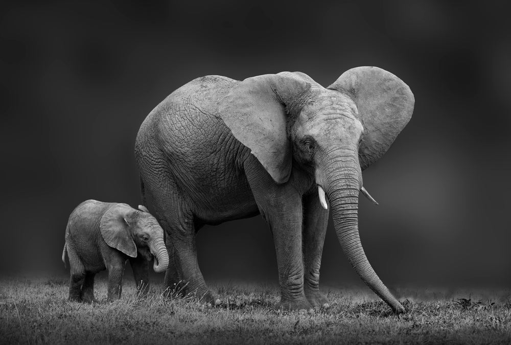 Preventing Broken Foreign Keys In Postgresql Postgresql Dba