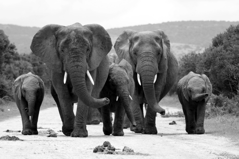 Postgresql 16 Ldap Integration Best Practices 3258