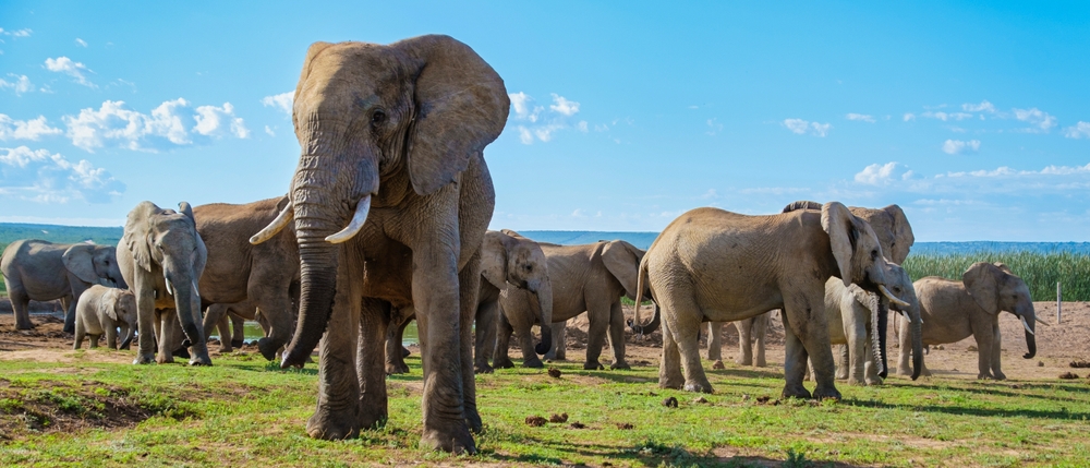 PostgreSQL Performance Bottlenecks in UPDATE/DELETE PostgreSQL Performance Bottlenecks in UPDATE/DELETE