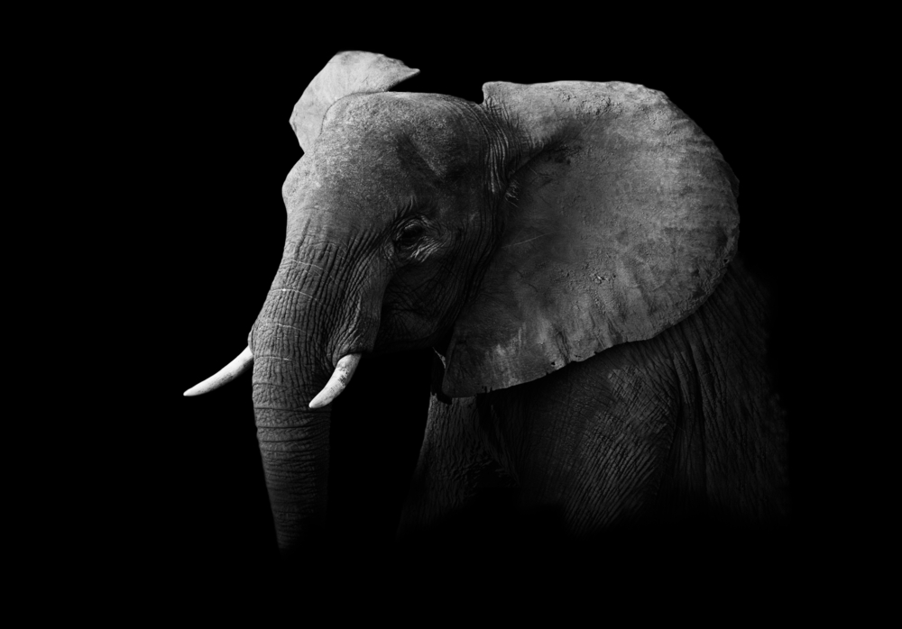 Troubleshooting Long Running Queries And Wait Events In Postgresql Optimization 