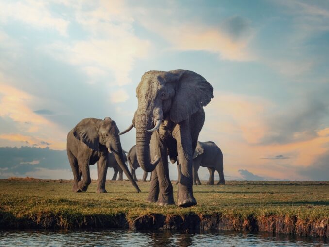 Tips And Tricks For Optimizing Shared Buffers In Postgresql 