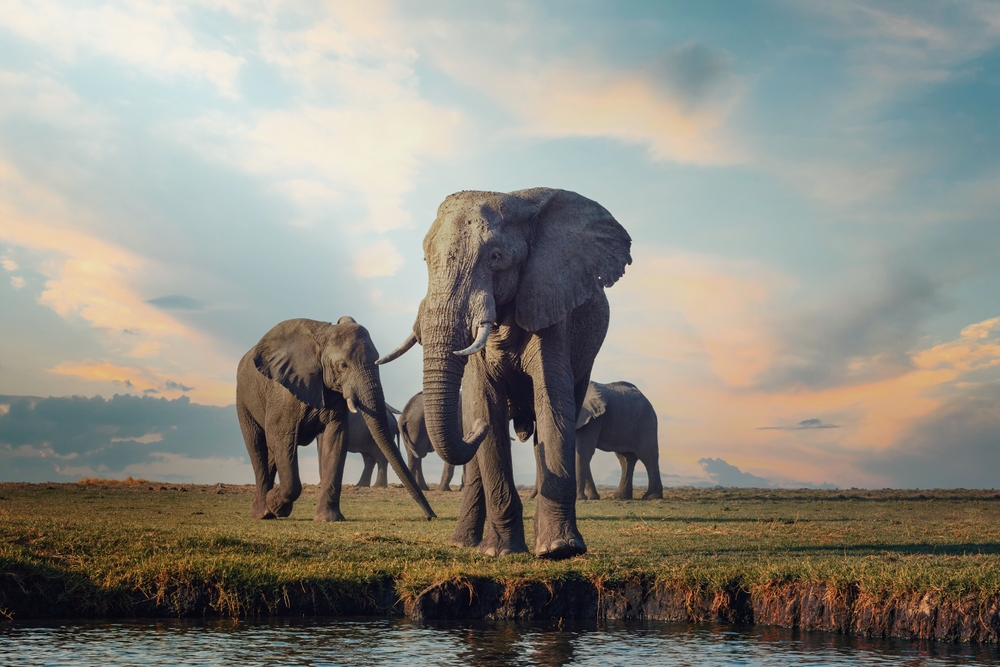 Fragmented Postgresql Infrastructure On Performance Dba 9801