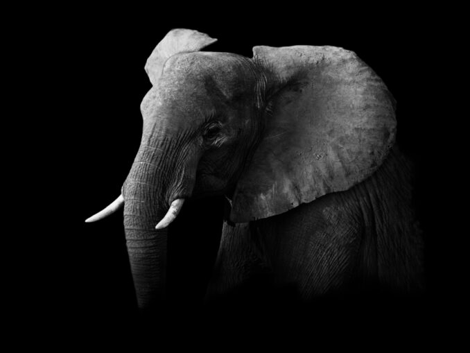 Tips and Tricks for Optimizing Shared Buffers in PostgreSQL Tips and Tricks for Optimizing Shared Buffers in PostgreSQL